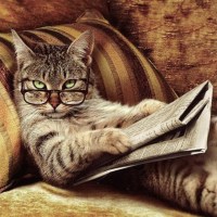 Continuing Changes – Christopher Shirk